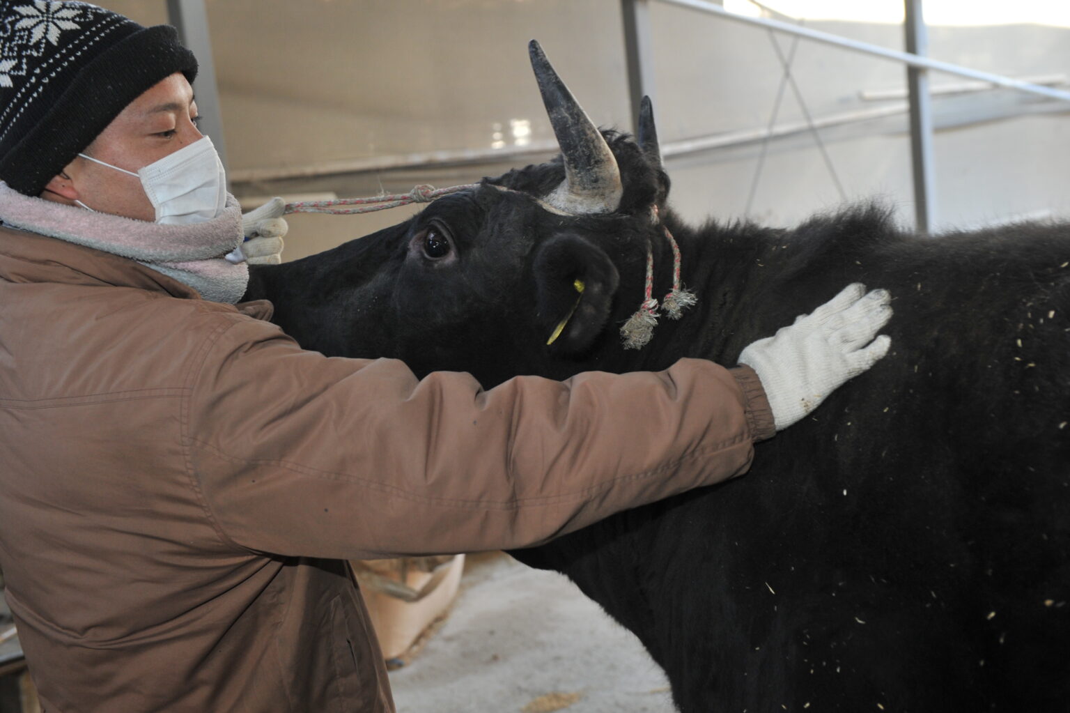 伊藤牧場 | 伊藤牧場の逸品「松阪牛」