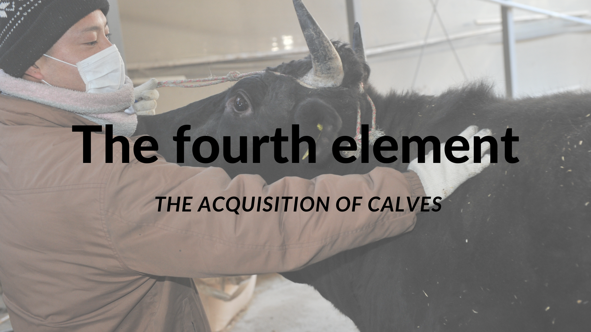 Our four key elements | 伊藤牧場