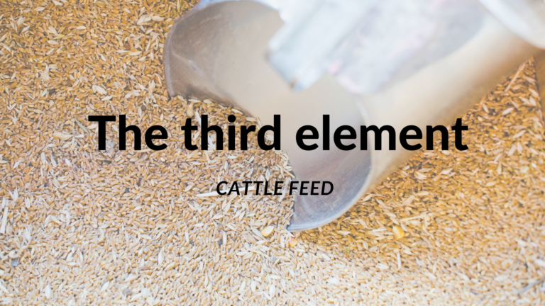 4つの秘訣 | 伊藤牧場